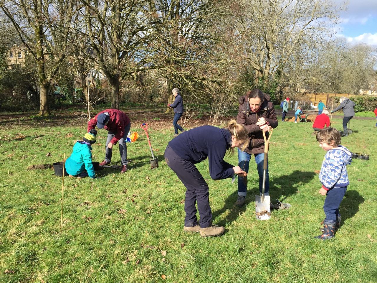 Bath Voice News: the green space in the city that has celebrated its ...