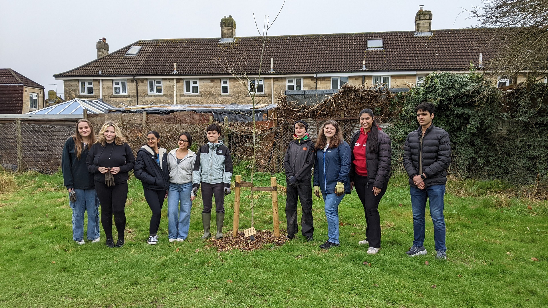 Bath Voice News: in love with our park – TREE-MENDOUS event sees trees ...